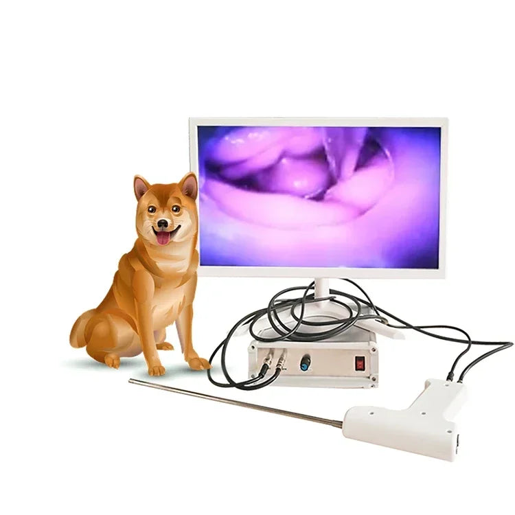 New!! Canine visual Ai Gu & TCI Artificial Insemination Gu - Alisa 1420